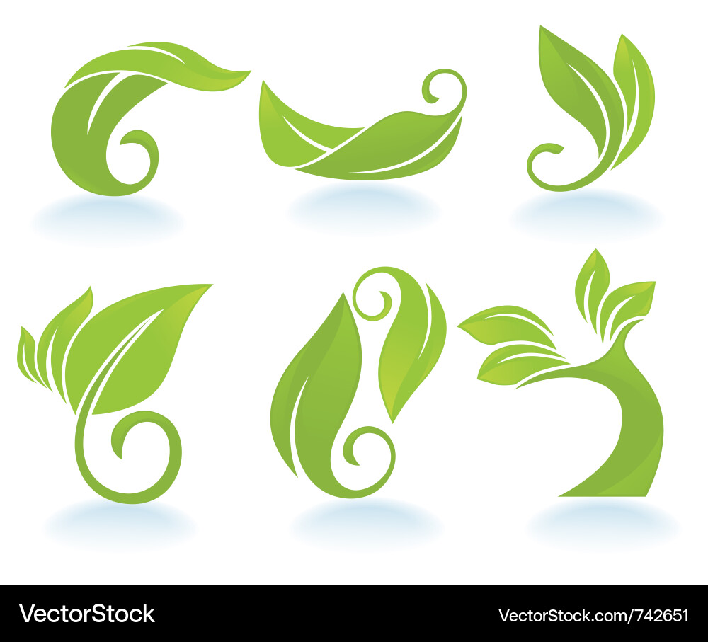 Collection of leaf images Royalty Free Vector Image