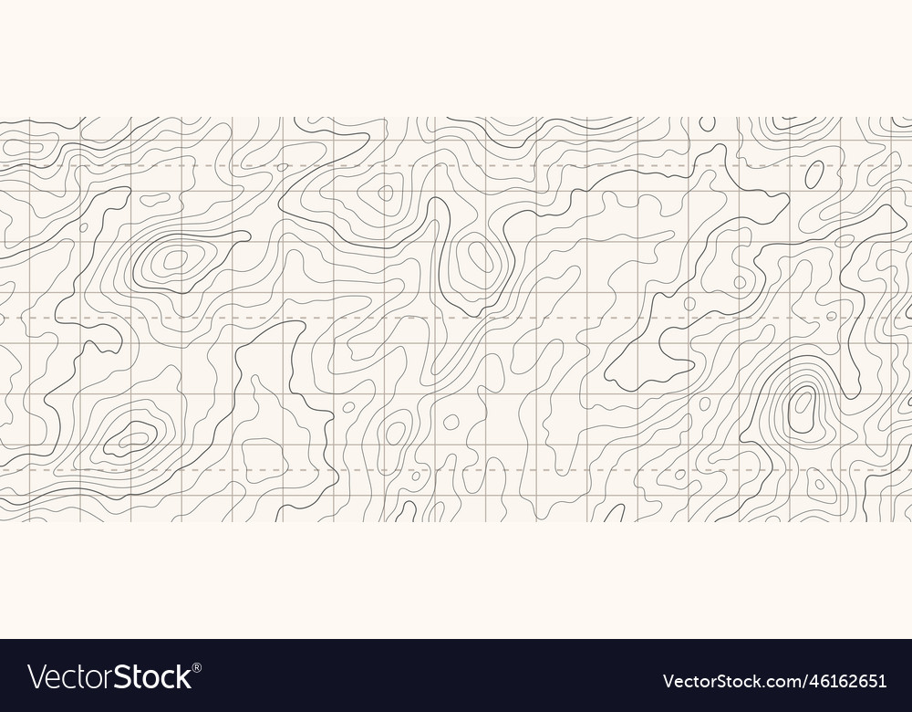 Topographic map patterns topography line Vector Image