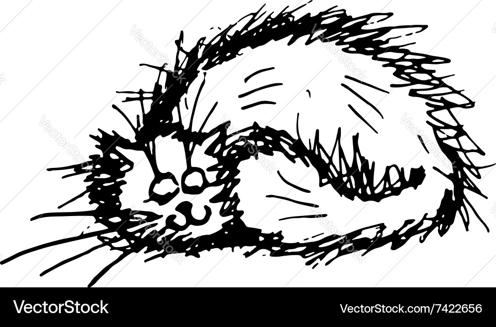 Funny fluffy cat sketch for your design Royalty Free Vector