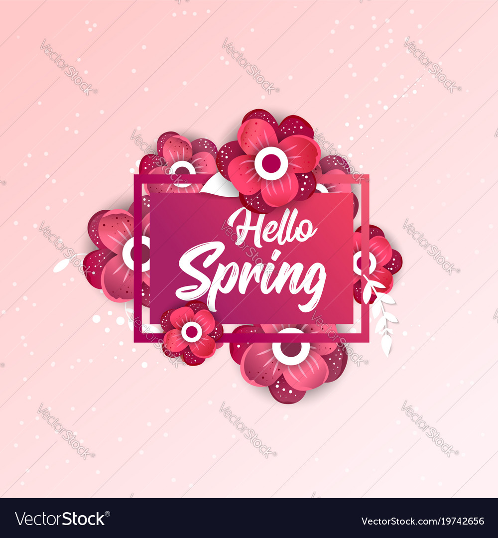 Hello spring concept banner with flowers Vector Image