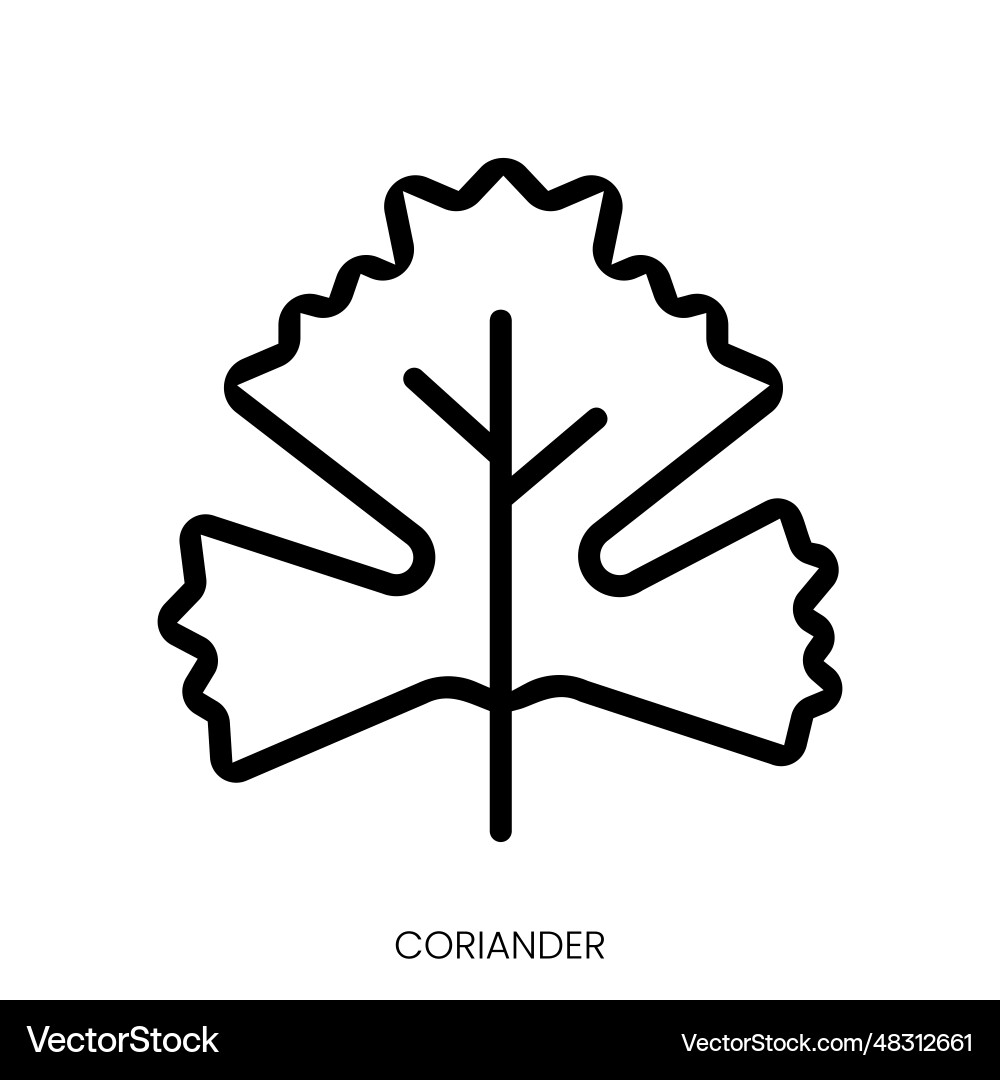Coriander icon line art style design isolated Vector Image