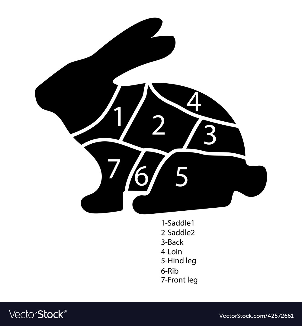 Rabbit Slicing Scheme Chart With Numbers Vector Image