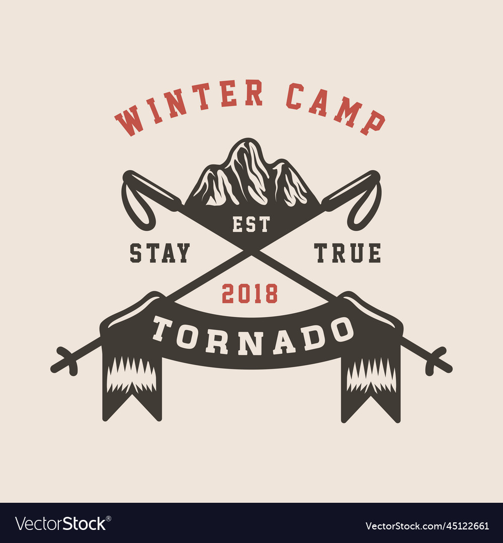 Vintage retro winter sport ski snowboard Vector Image