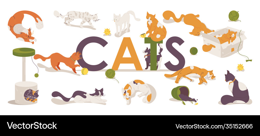 Cats large lettering with kitties playing Vector Image