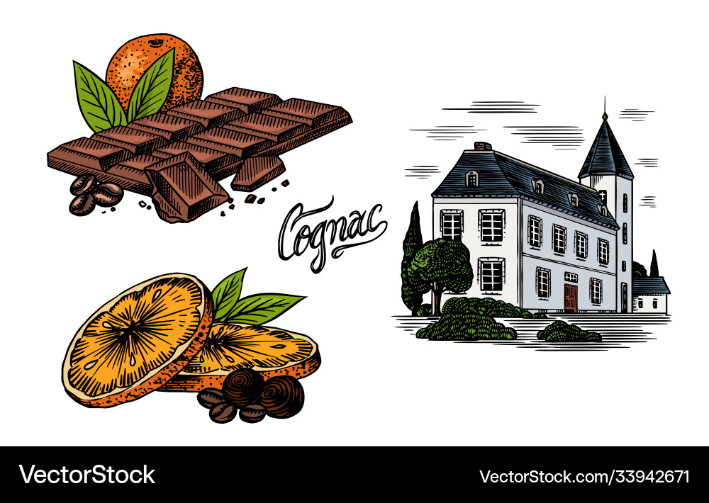 Alcohol production plant cognac castle chocolate Vector Image