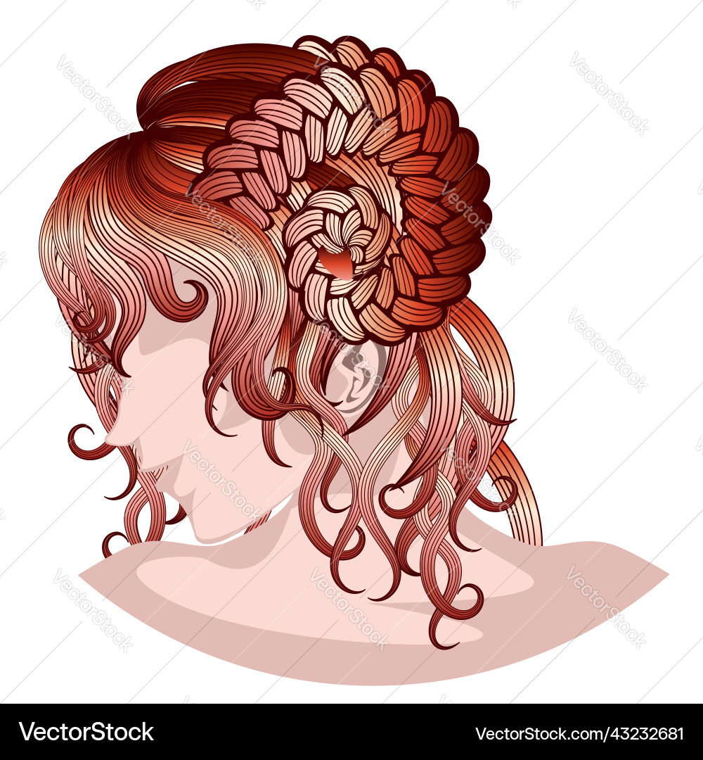 Braided female hairstyle Royalty Free Vector Image