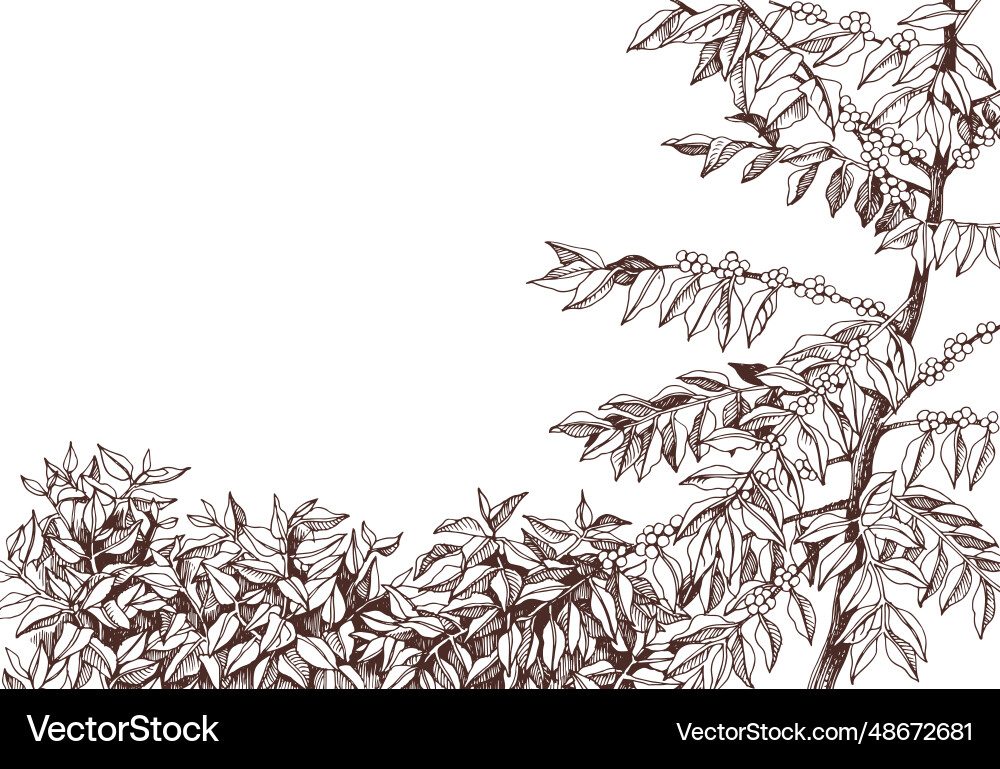 Coffee plantation hand drawn landscape Royalty Free Vector