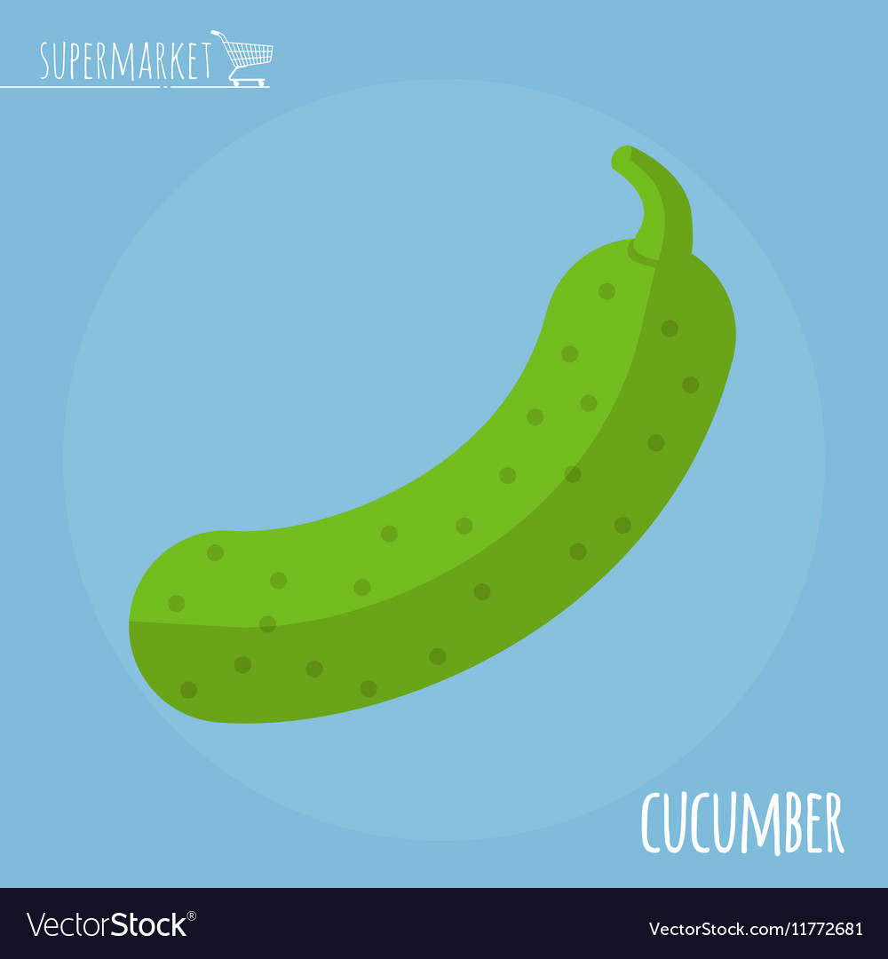 Cucumber icon Royalty Free Vector Image - VectorStock