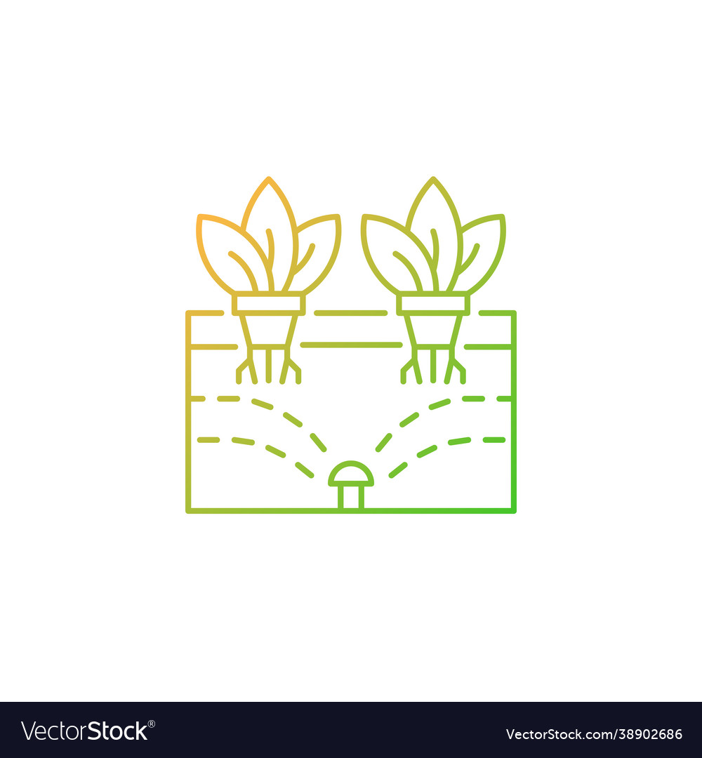 Aeroponics gradient linear icon Royalty Free Vector Image Aeroponics gradient linear icon Royalty Free Vector Image