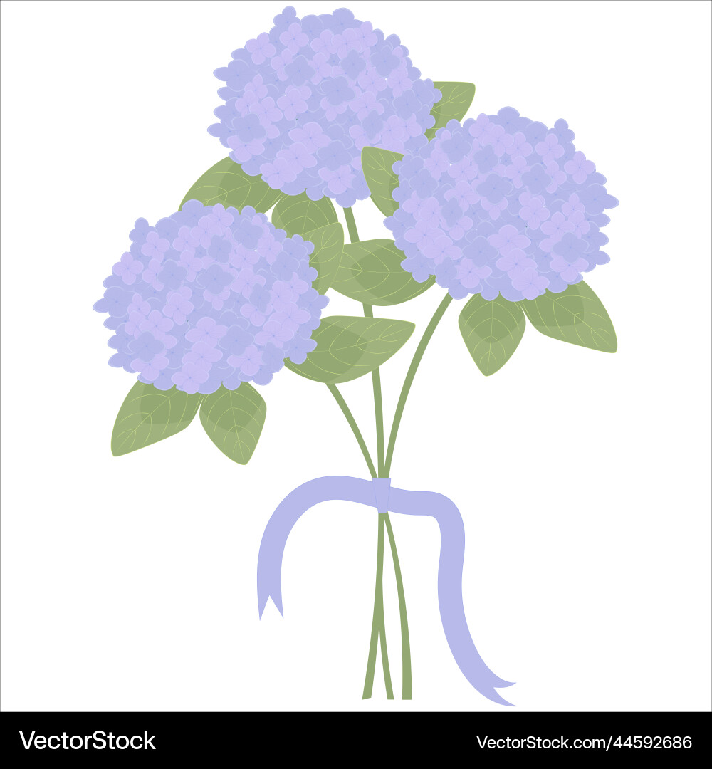 Bouquet of purple hydrangea Royalty Free Vector Image