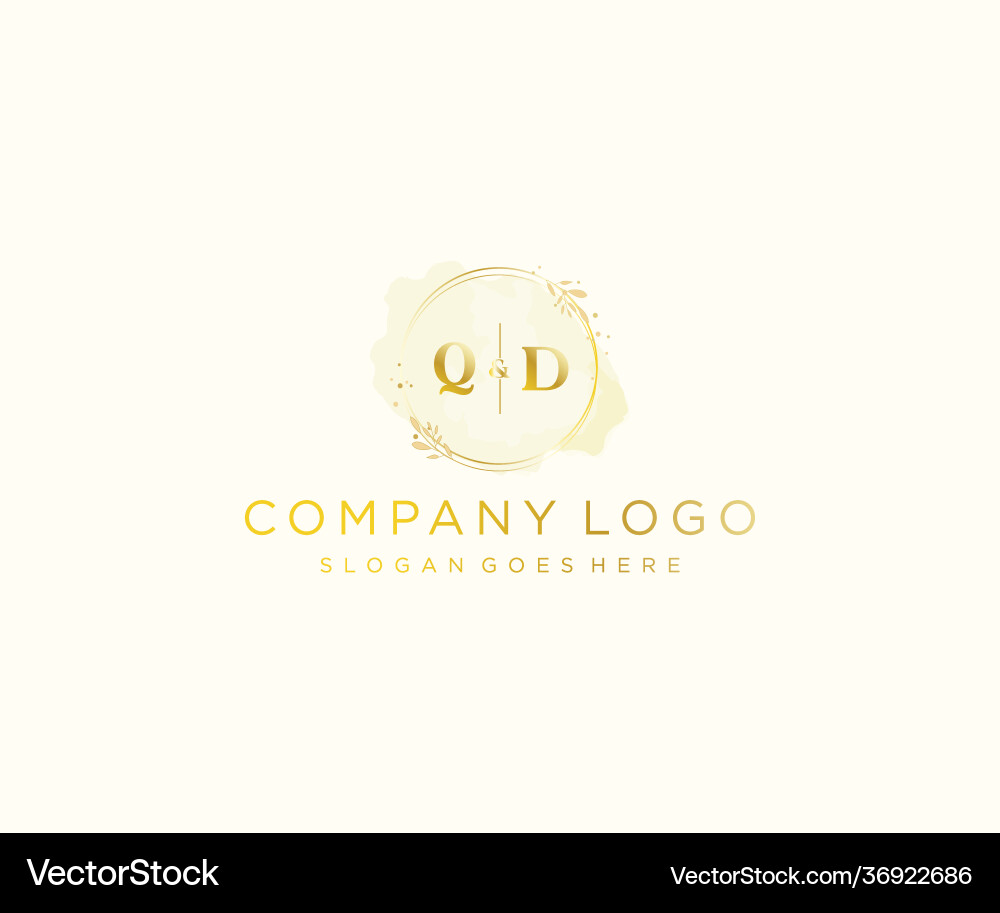Initial qd letters colorful watercolor splash Vector Image