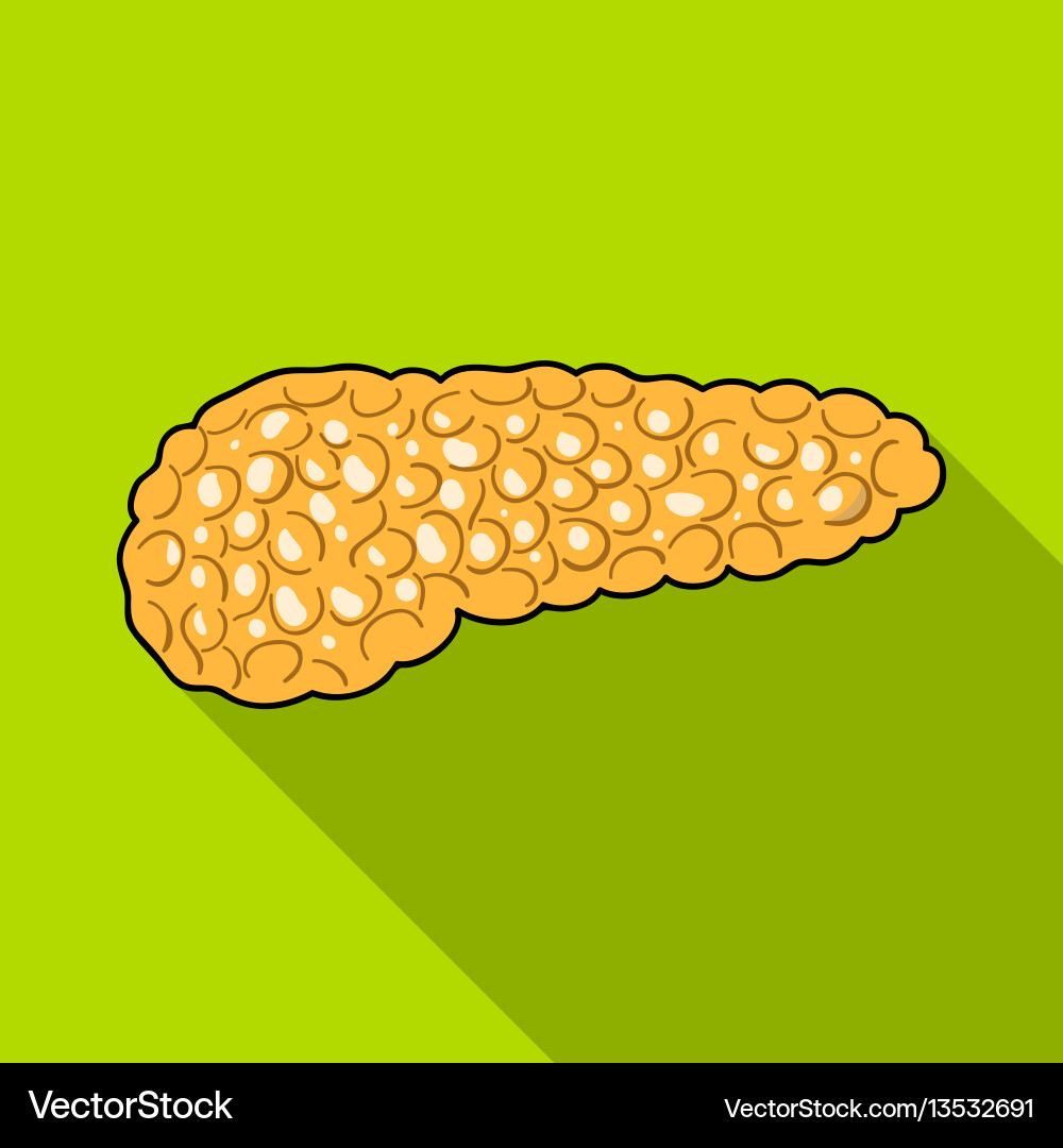 A sick pancreasinfected part body Royalty Free Vector Image