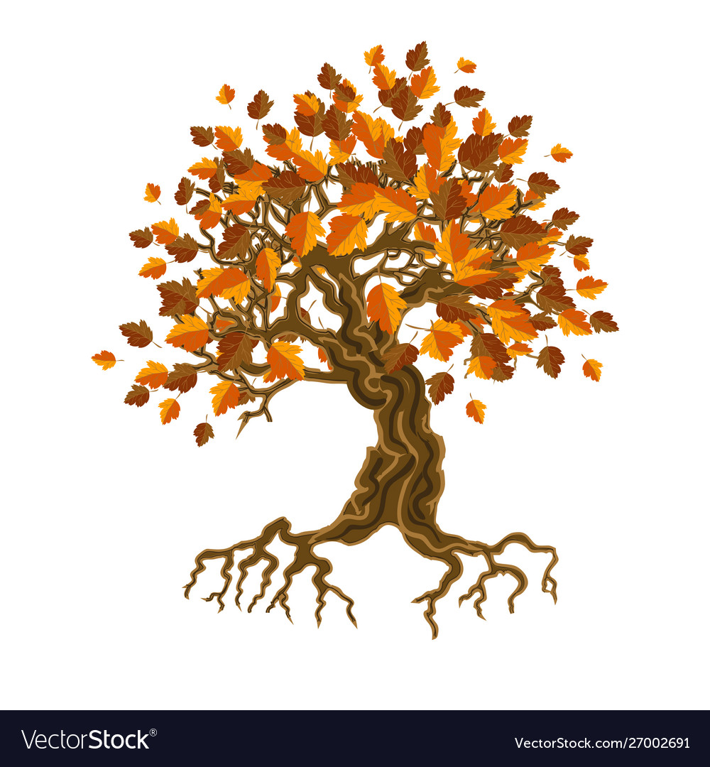 Autumn tree Royalty Free Vector Image - VectorStock