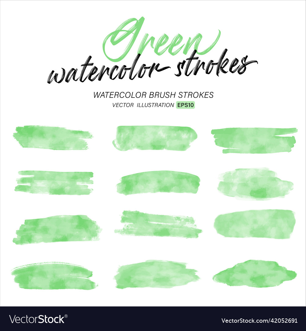 Green watercolor splash and brush stroke clipart Vector Image