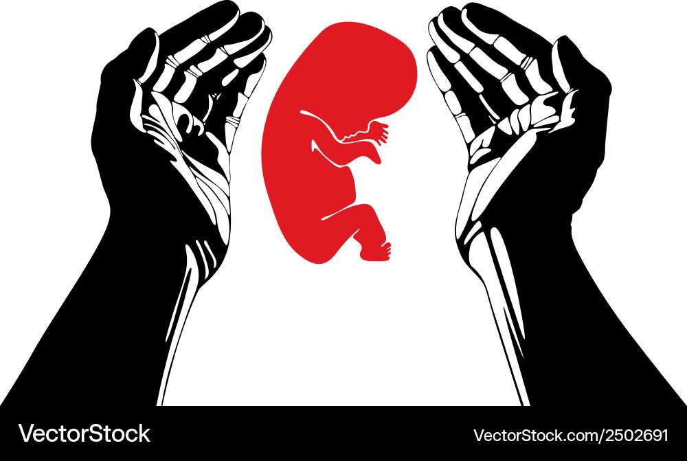 Human hands with fetus symbol Royalty Free Vector Image