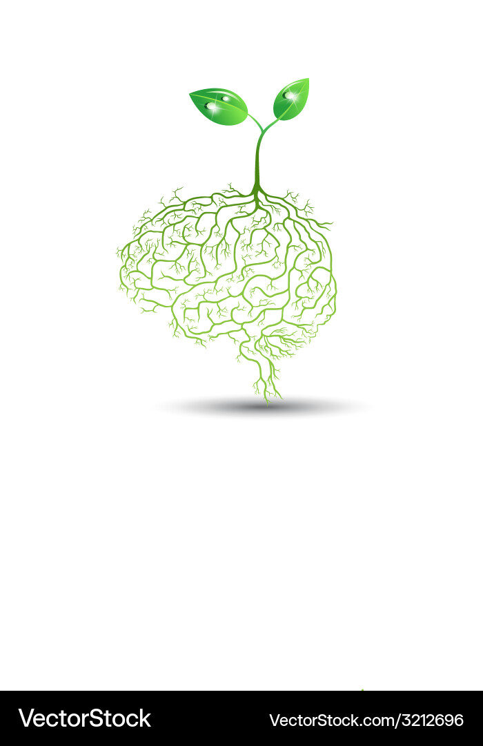 Concept of brain seedling Royalty Free Vector Image