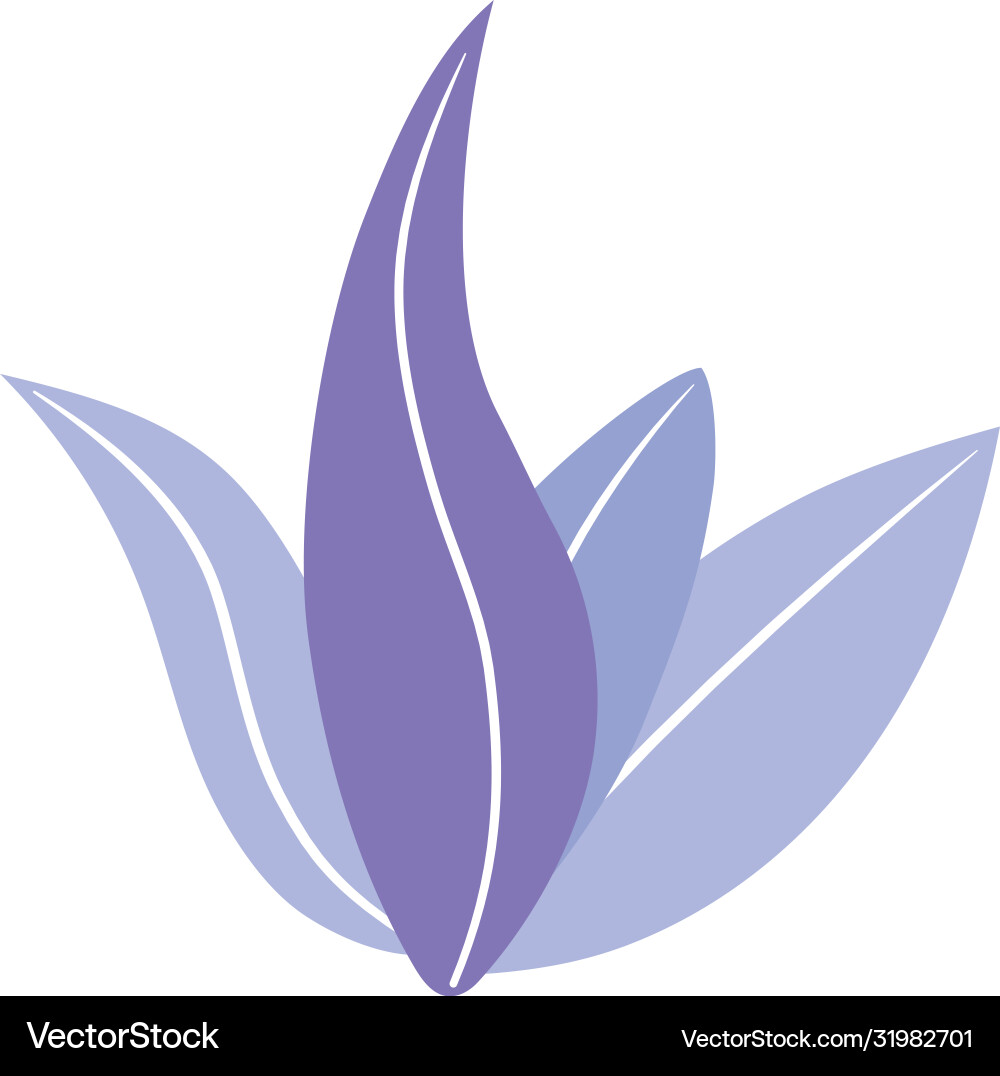 Leaves foliage organic botanical isolated design Vector Image
