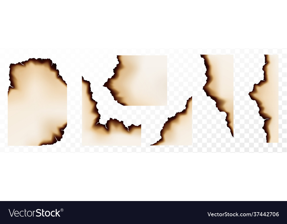 Burn paper borders set burnt pages Royalty Free Vector Image