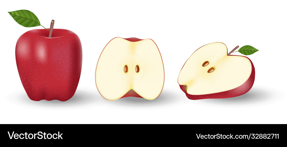 Red whole apple and a half apple fresh fruit Vector Image