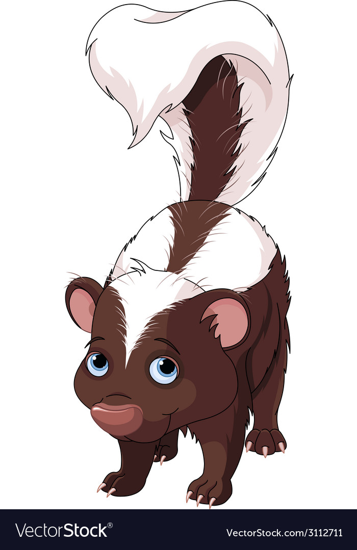 Skunk Royalty Free Vector Image - VectorStock