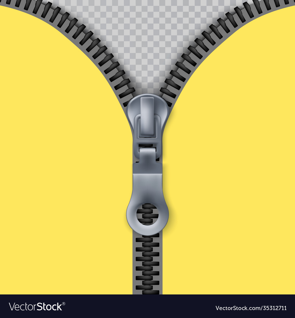 Zipper zippered lock and unlock closed and open Vector Image