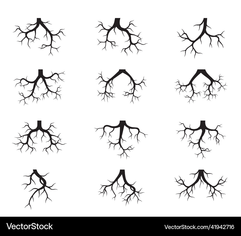 Set black roots Royalty Free Vector Image - VectorStock