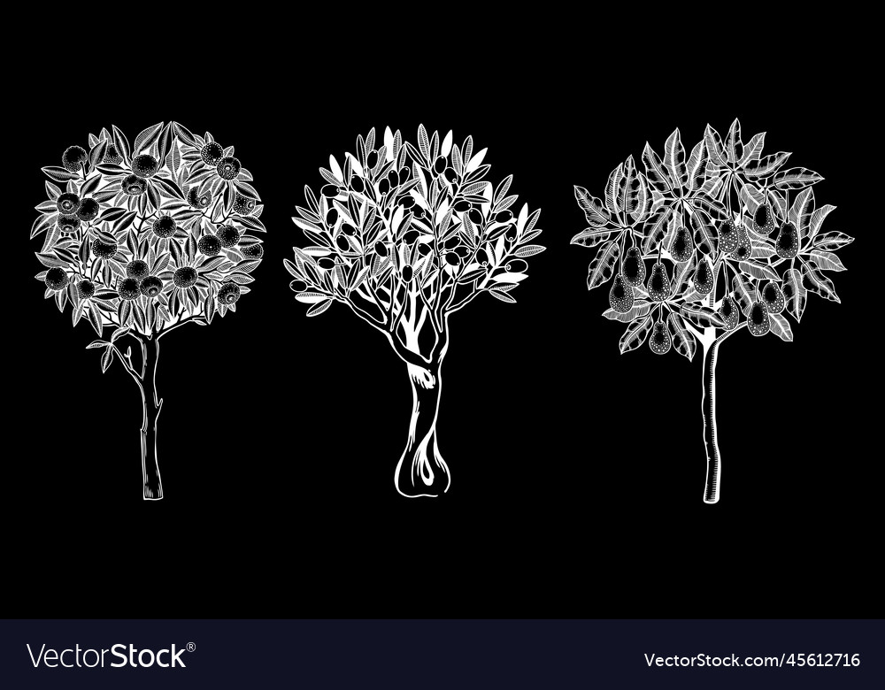 Sketched trees set with decorative fruit leaves Vector Image
