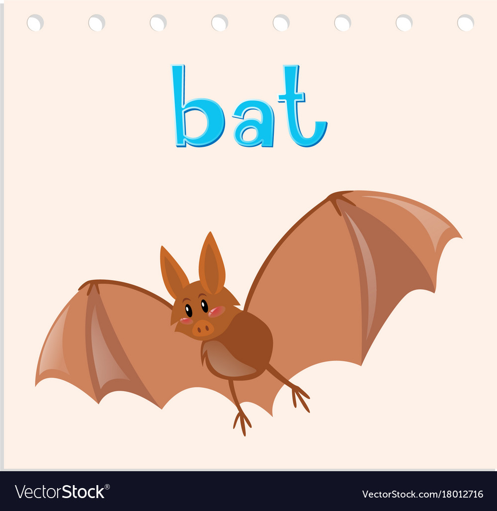 Wordcard for wild bat Royalty Free Vector Image Wordcard for wild bat Royalty Free Vector Image