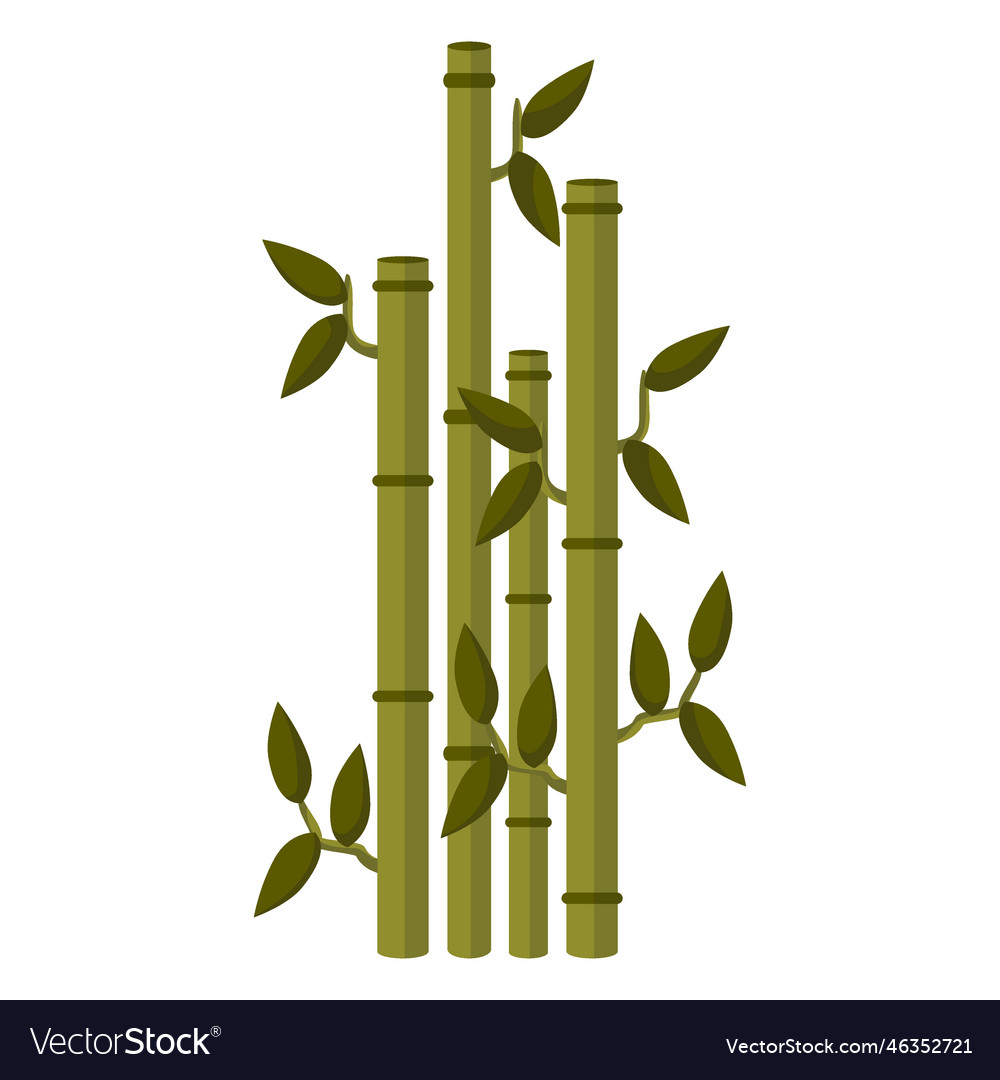 Bamboo stem Royalty Free Vector Image - VectorStock