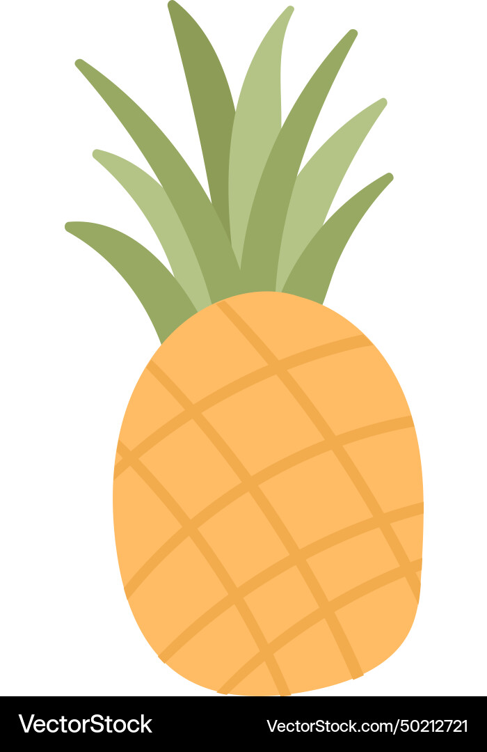 Pineapple fruit food Royalty Free Vector Image