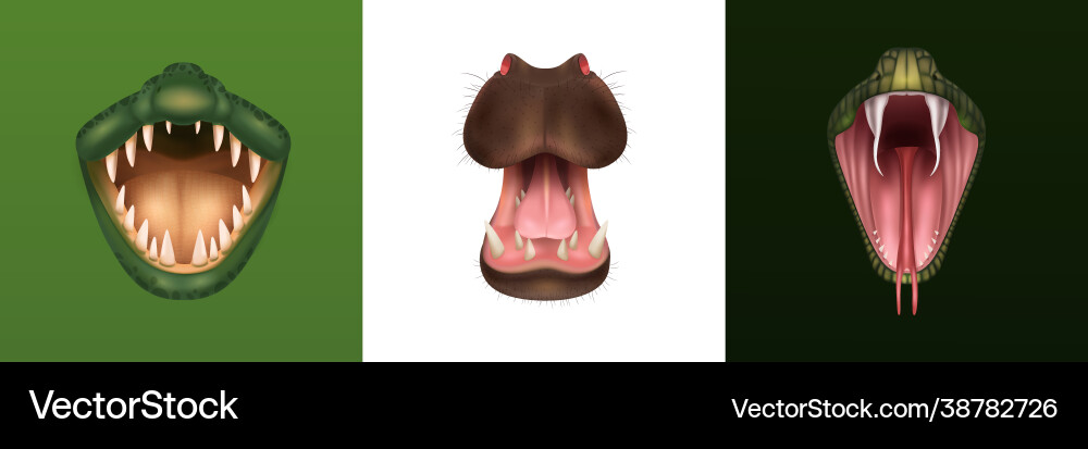 Animal mouth design concept Royalty Free Vector Image