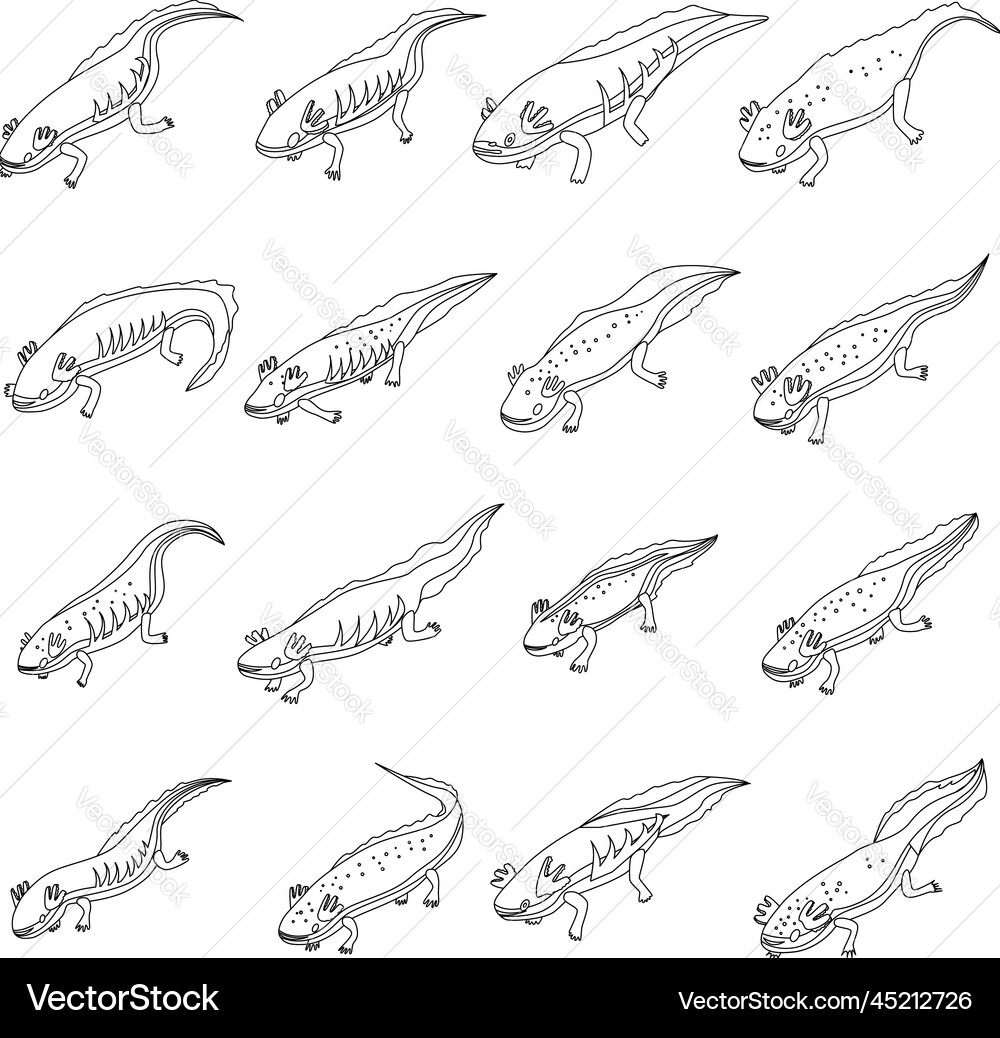 Axolotl icons set outline Royalty Free Vector Image