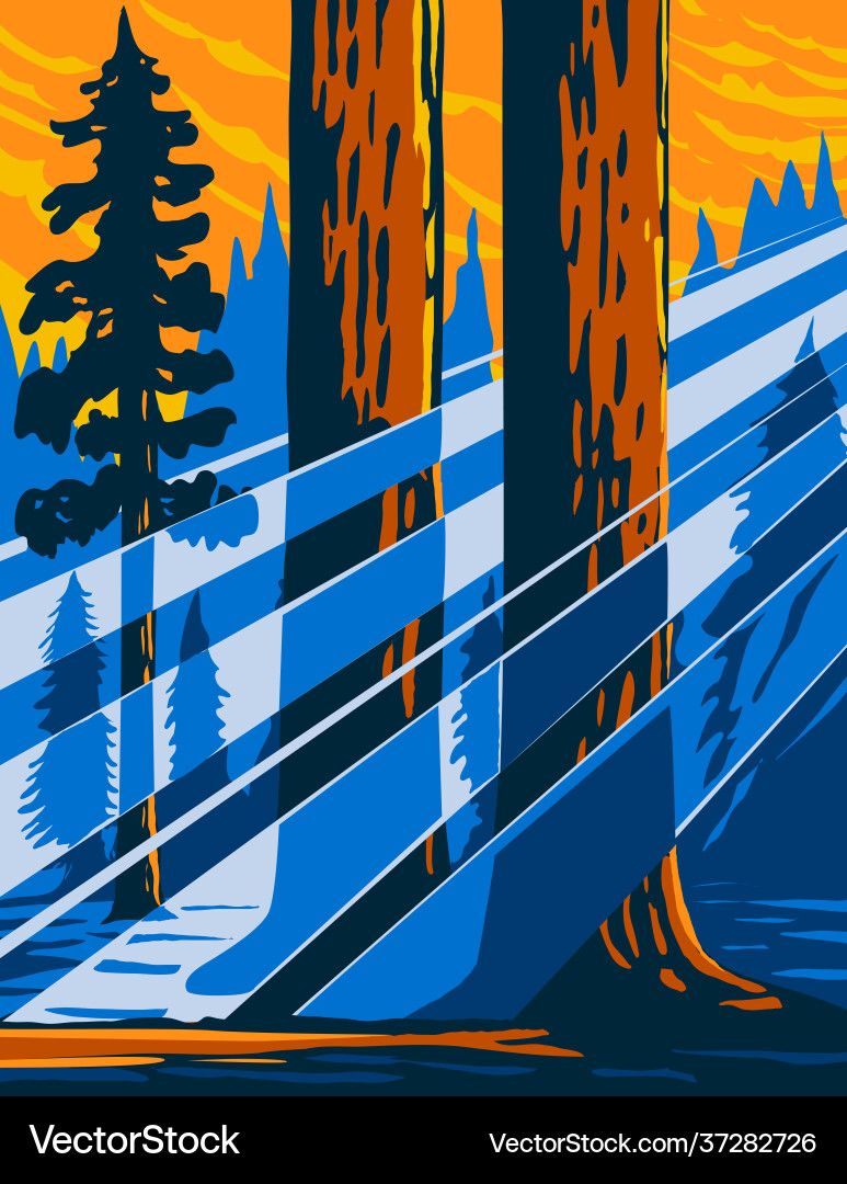 Giant sequoia national monument located Royalty Free Vector