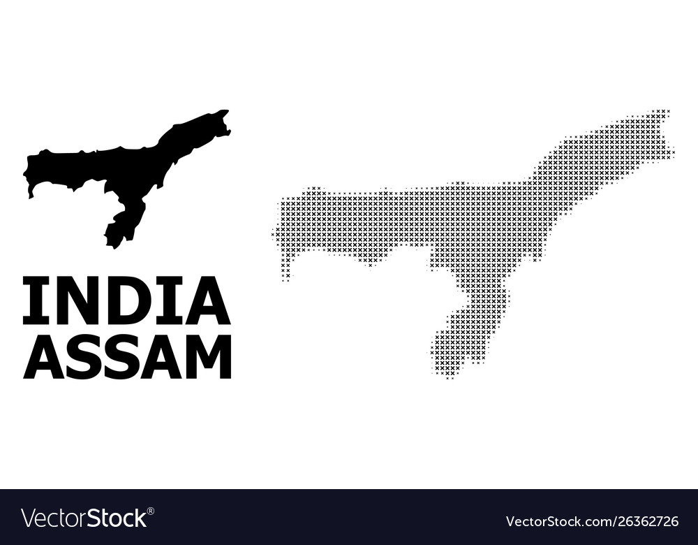 Halftone pattern and solid map assam Royalty Free Vector