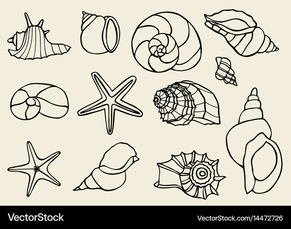 Set of vintage seashells Royalty Free Vector Image