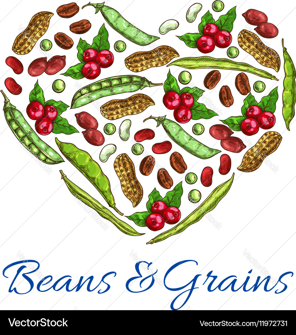 Beans and grains in heart shape Royalty Free Vector Image