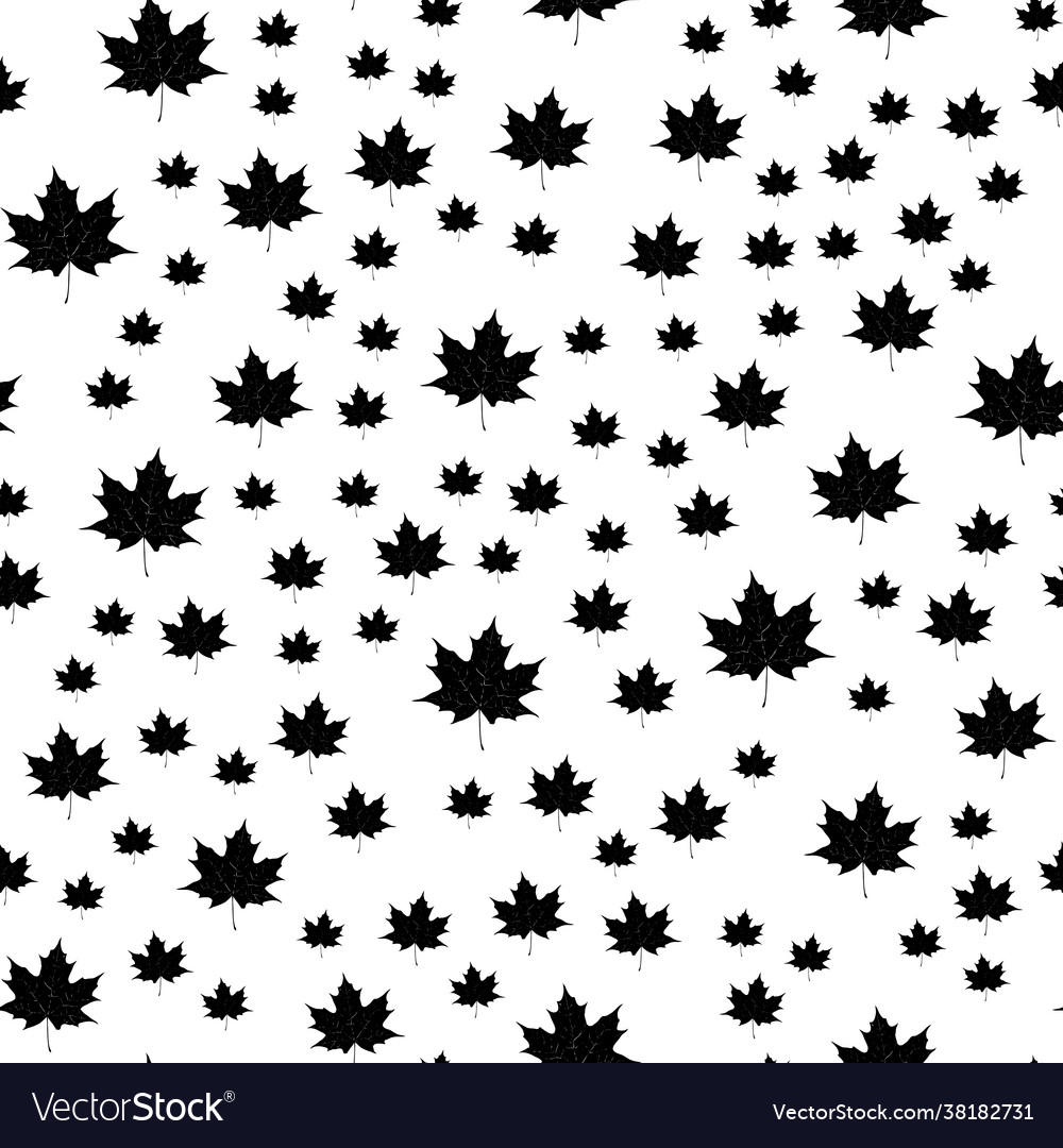 Seamless pattern maple leaves on a white Vector Image
