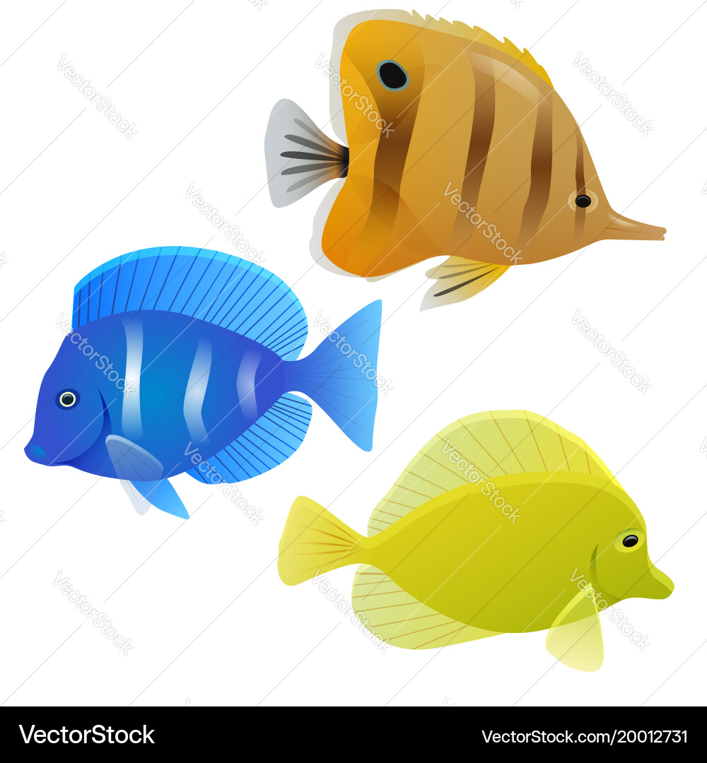 Set of tropical fish element for your design Vector Image