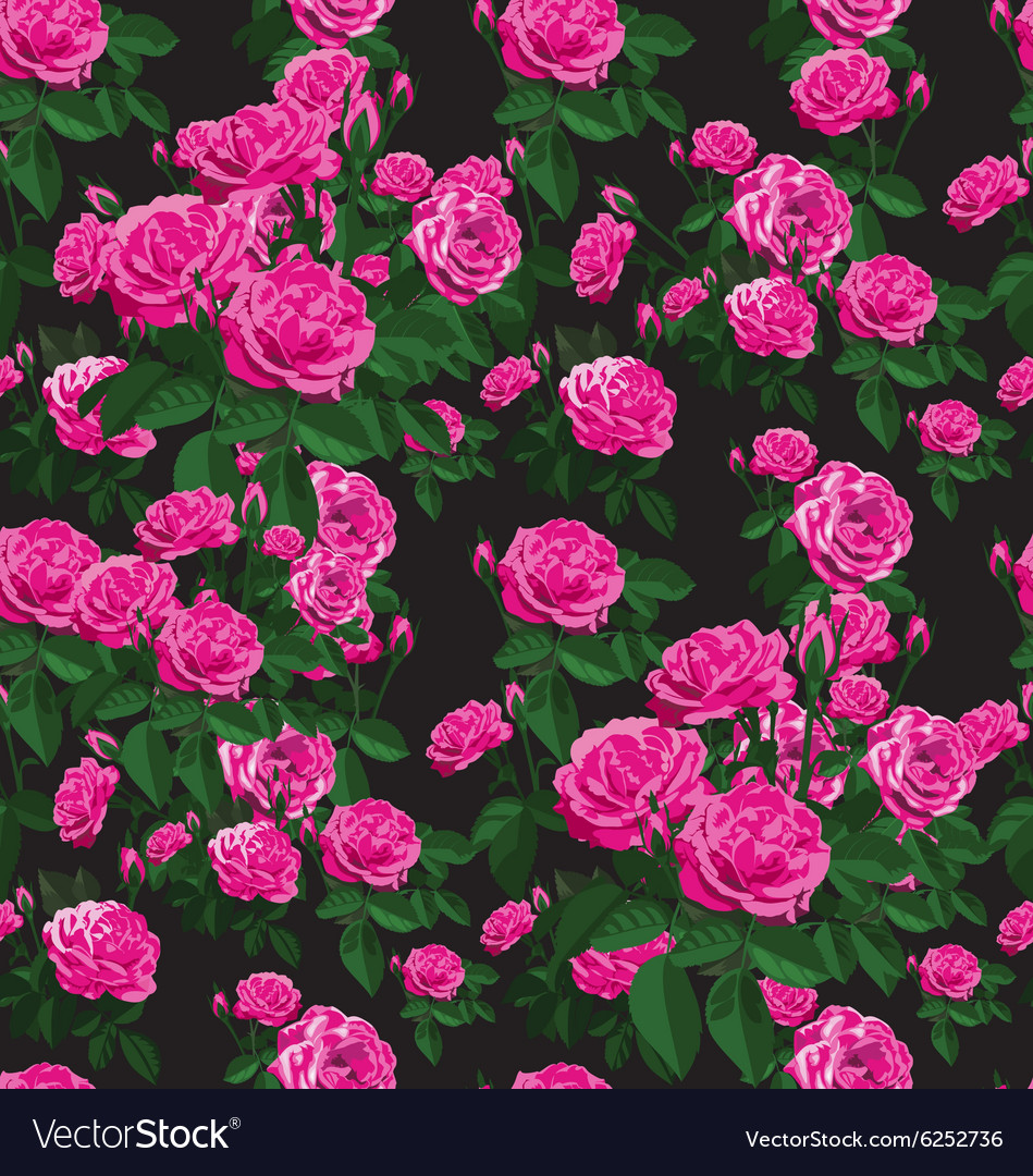 Rose Royalty Free Vector Image - VectorStock