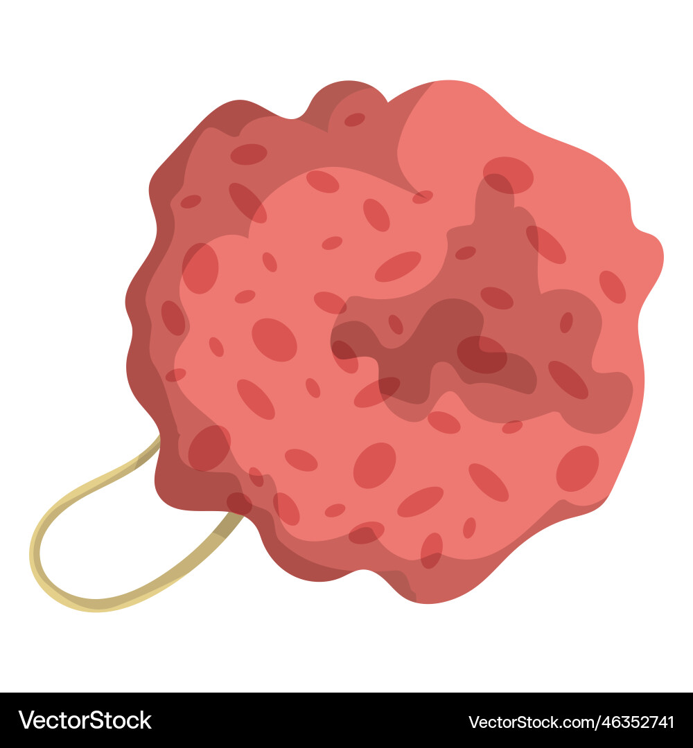 Bath sponge Royalty Free Vector Image - VectorStock