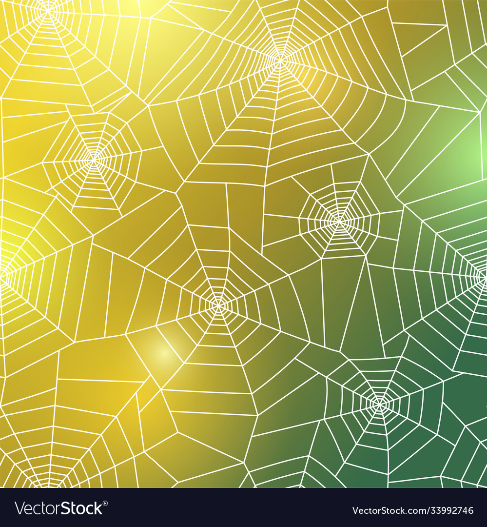 Spider web concept Royalty Free Vector Image - VectorStock