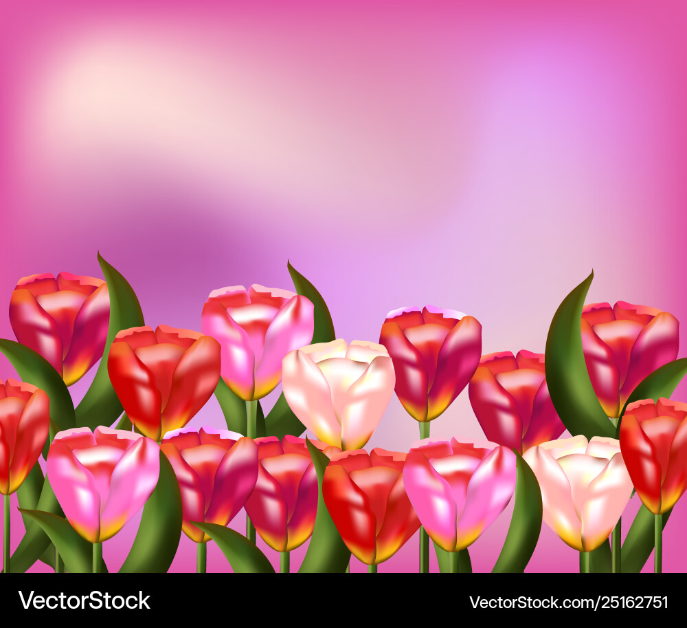 Pink floral delicate background with realistic Vector Image