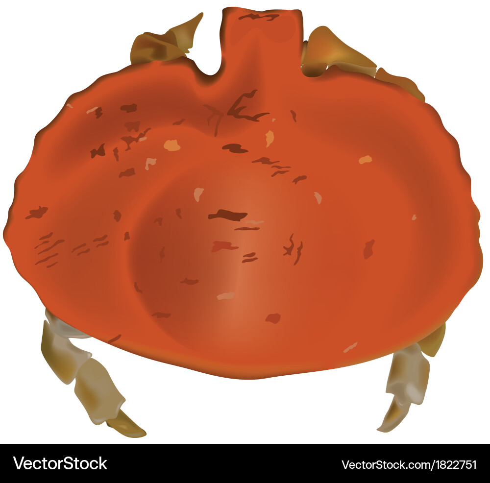 Red crab Royalty Free Vector Image - VectorStock