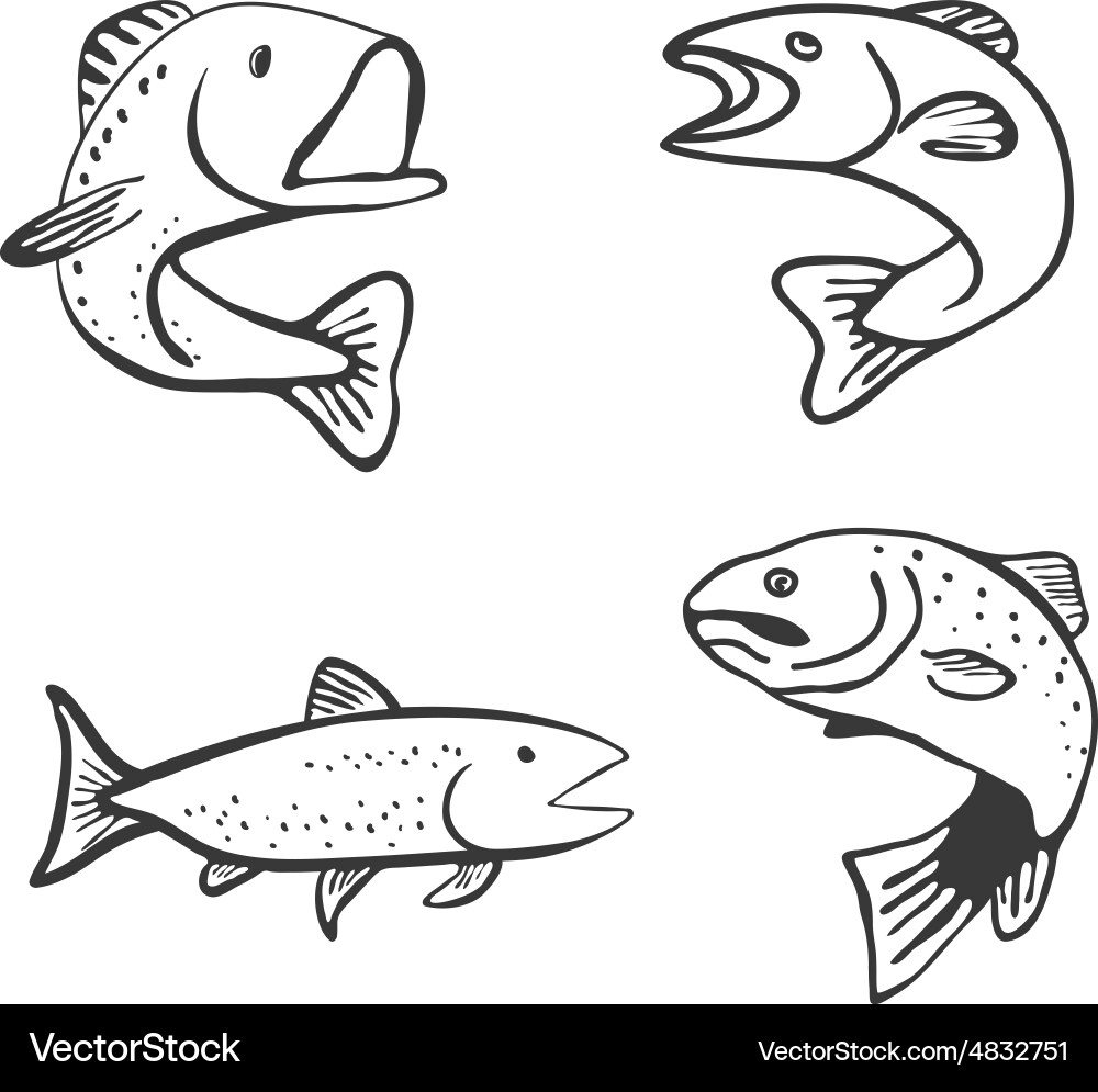 Set of fish isolated on white background Vector Image