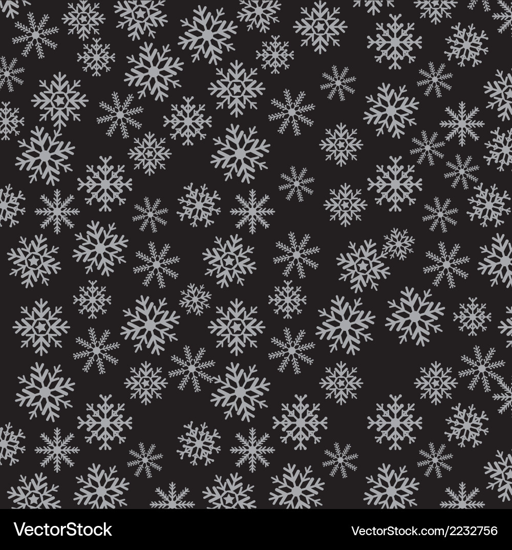 Bwauty and decorative black flower background Vector Image