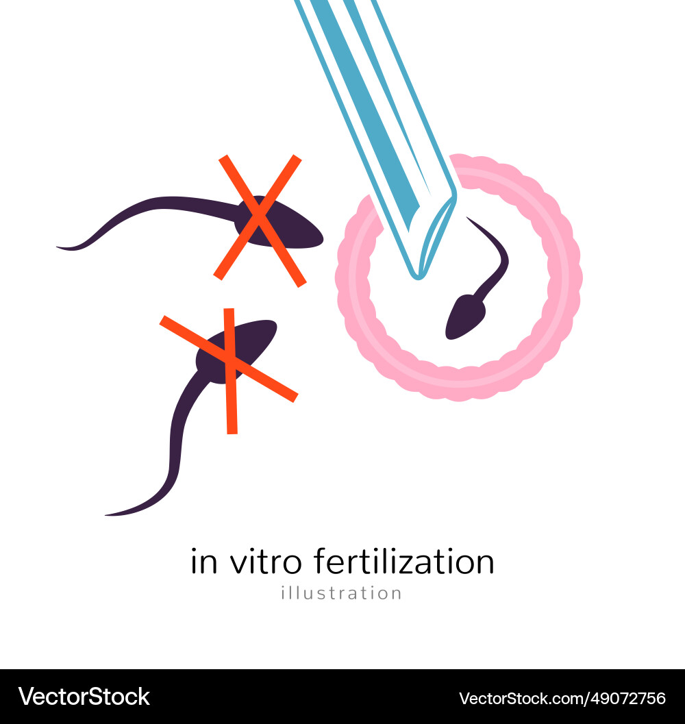 In vitro fertilisation icon biological Royalty Free Vector