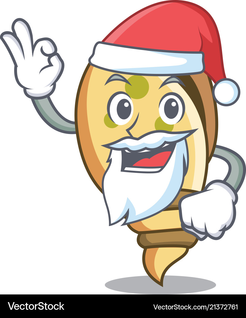 Santa sea shell mascot cartoon Royalty Free Vector Image