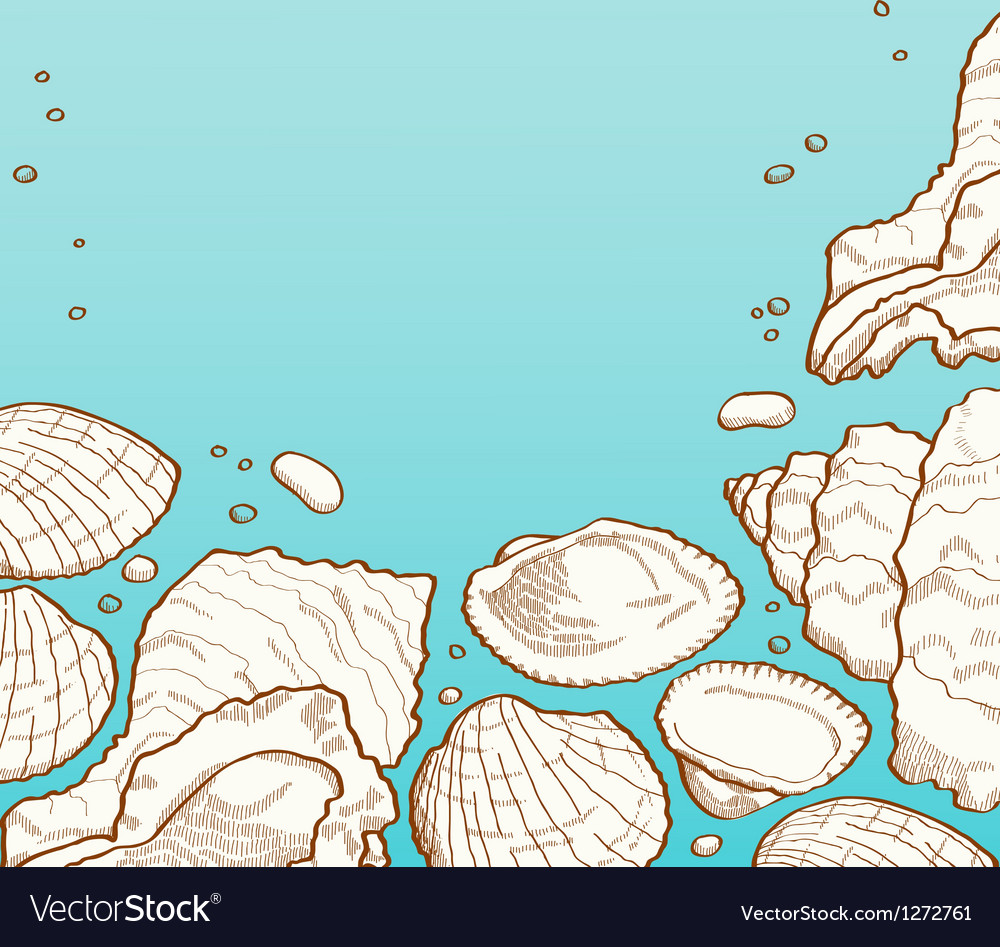 Seashell background Royalty Free Vector Image - VectorStock