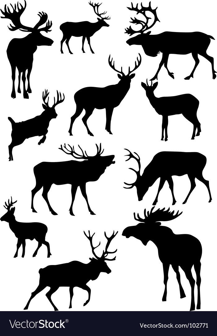 Deer Royalty Free Vector Image - VectorStock