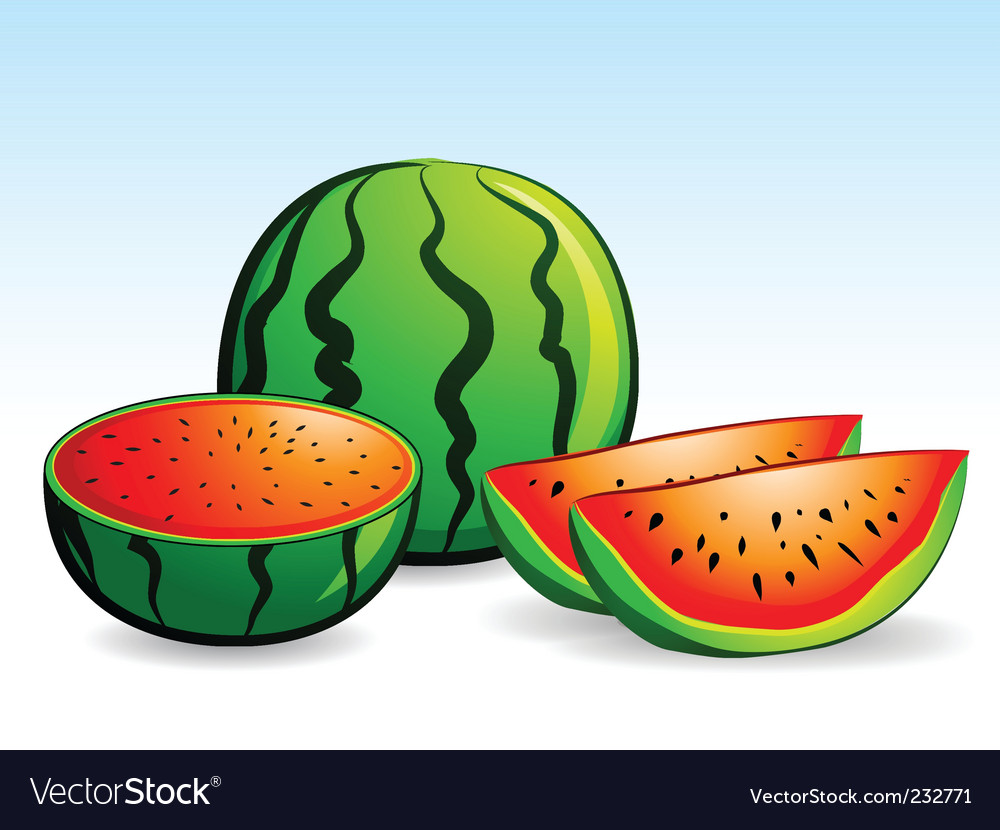 Watermelon Royalty Free Vector Image - VectorStock